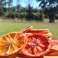 Dried Blood Orange Slices — Graina